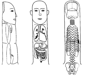 Su-jok acupuncture methods and treatment (Su-jok medicine blog): 2011
