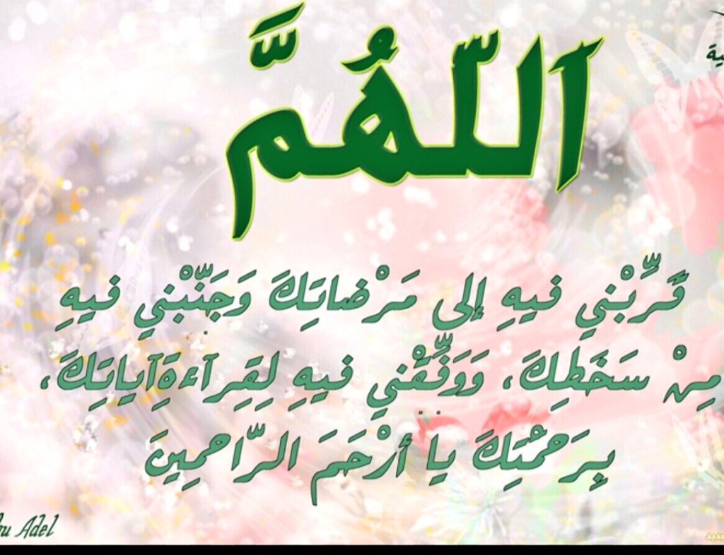 shomoos - Arabic News Collections