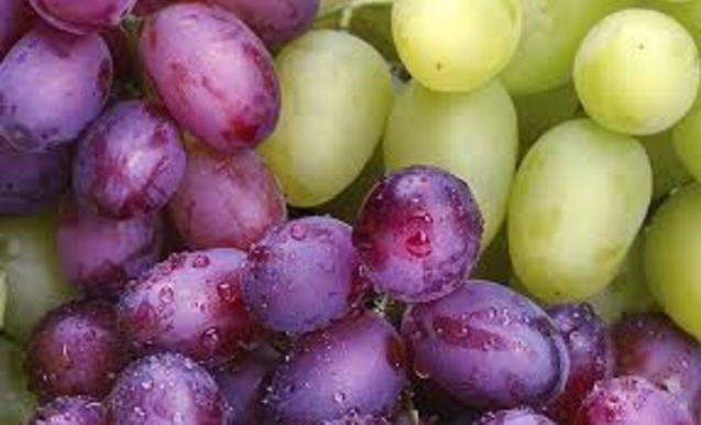 ALIMENTACION Y VIDA Consejos de Nutrición, Ejercicios y Medicina ...