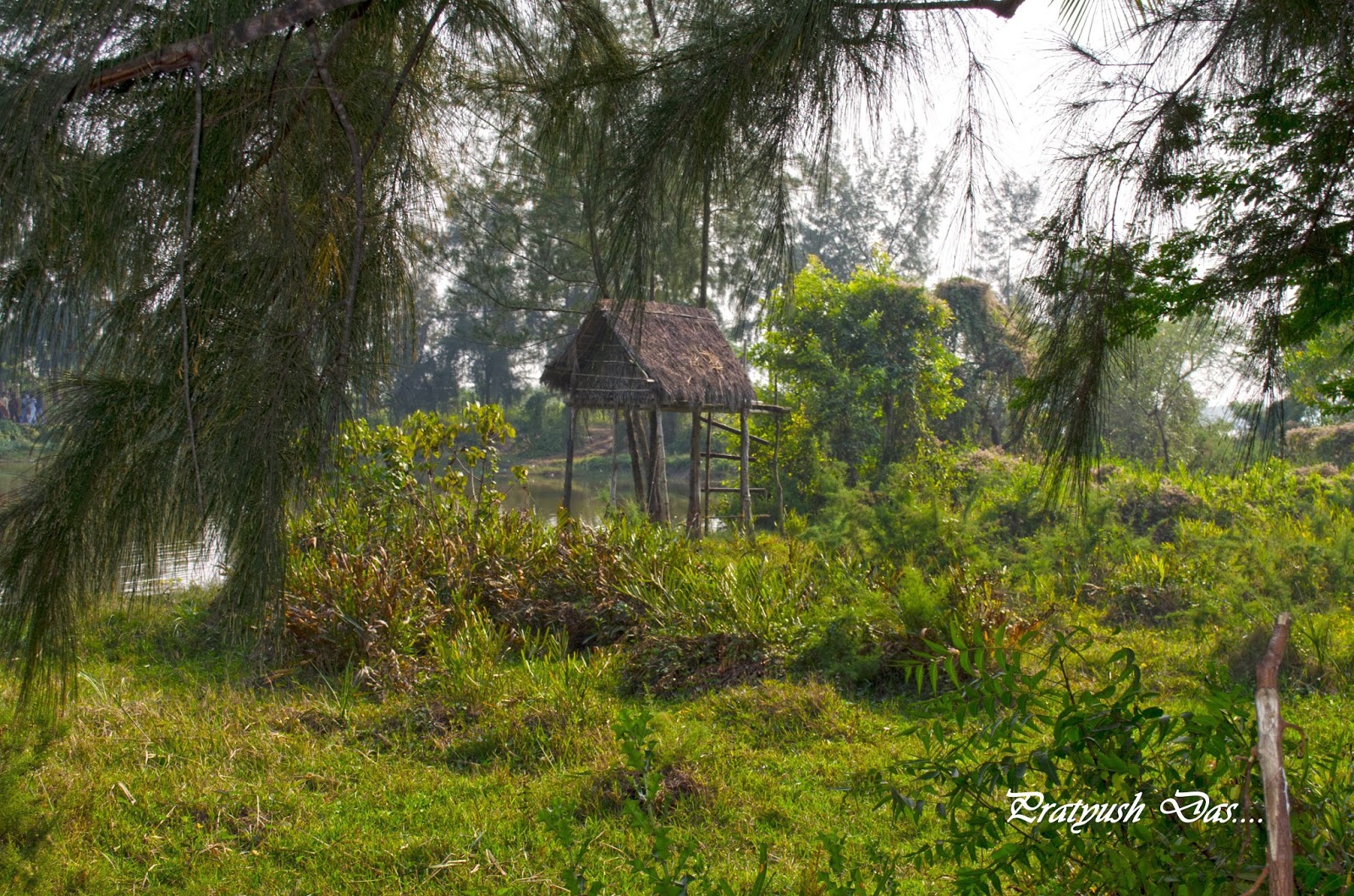 tourfreaks : dose of tourism: Kaikhali ; A weekend trip (1)