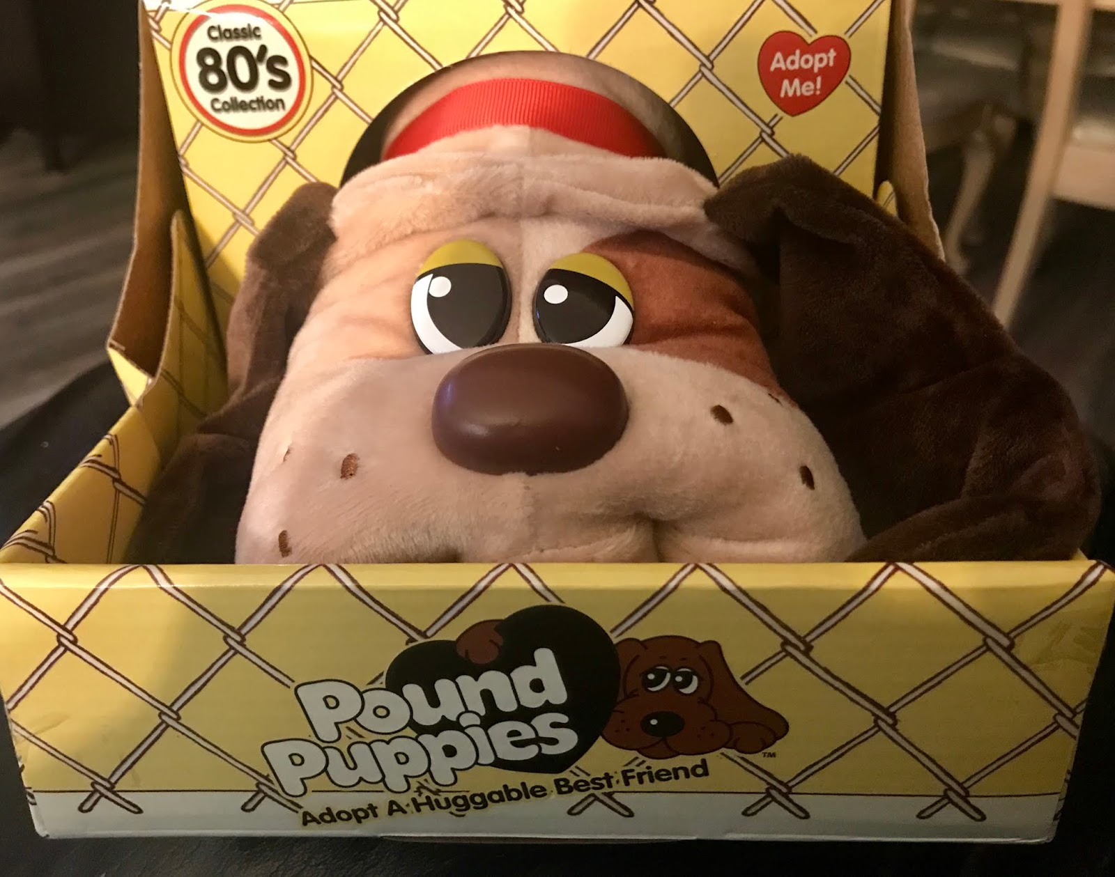 Pound Puppies Are Back!