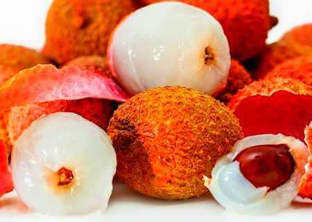 How To Grow Lychee From Seed: Lychee Tree Care
