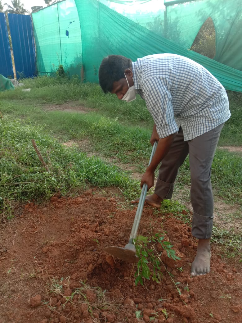 Ghss Kuthuparamba Spc