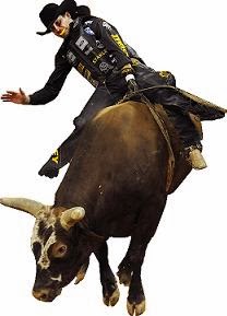 Gbigs Angle: Bushwacker Most Feared Bull In Rodeo