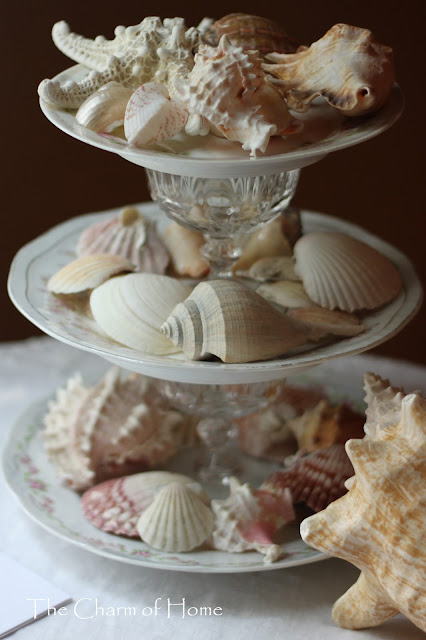 The Charm of Home: Sea Shell Tea