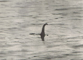 LOCH NESS MONSTER: The Surgeon's Photo and Long Necks