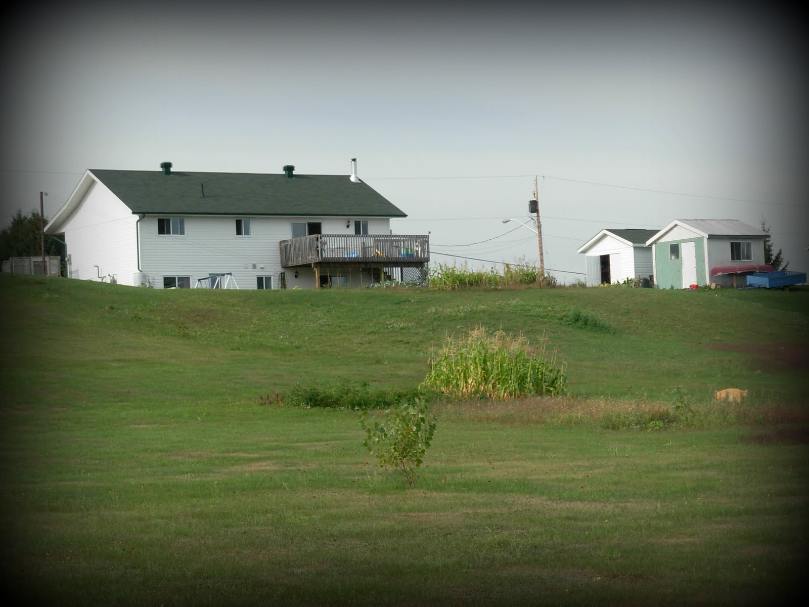 More Costly than Rubies: Home Sweet Home