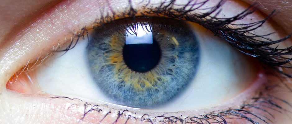 Sinapsis: octubre 2012