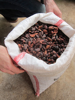 gastronommy.com: How High Quality Chocolate is Actually Produced