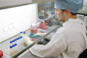 INFO PHARMA 24: Sterility Test