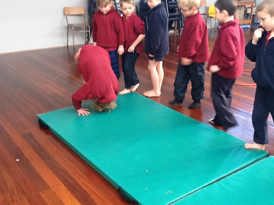 Kanuka Class Blog : July 2013