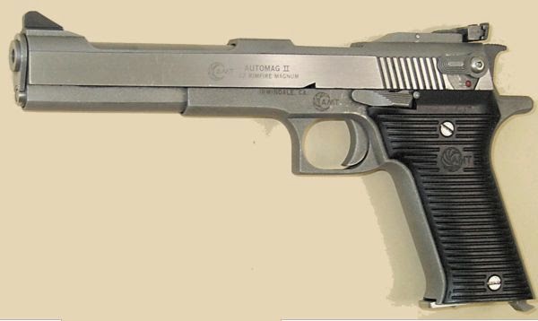 Armas de Fuego: Pistola AMT