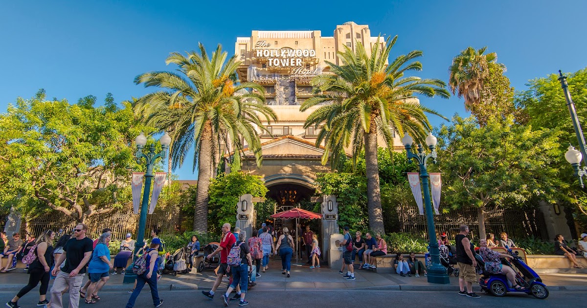 Disney Photoblography