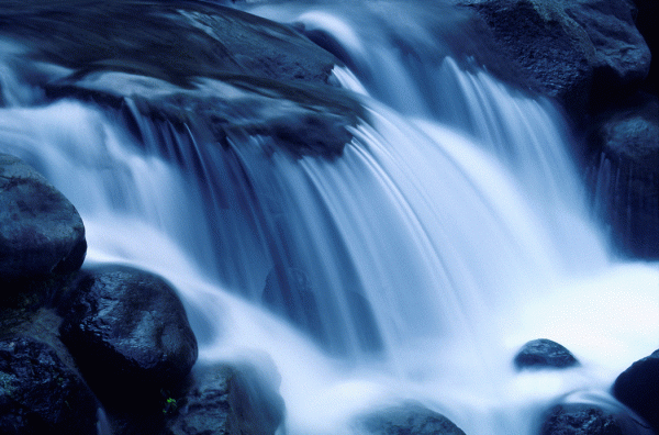 The Bible in One Year