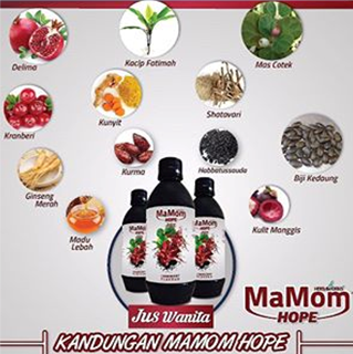 Apa Sebenarnya MaMom Hope Jus Zuriat Ni