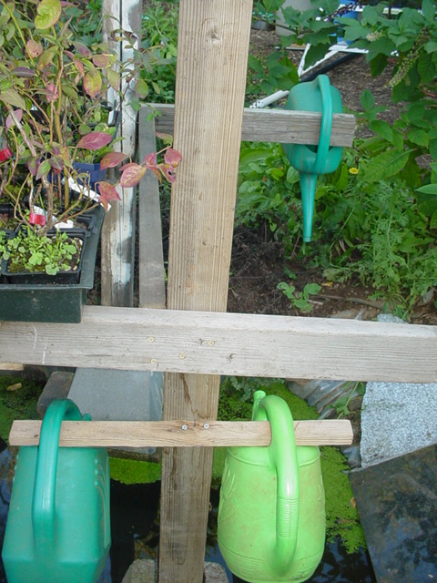 Slug Moat: Pond, Rainwater Catchment, & Protected Nursery ...