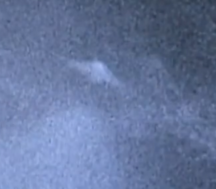 Ufo Sightings Daily Glowing Ufos Caught On Deer Cam In