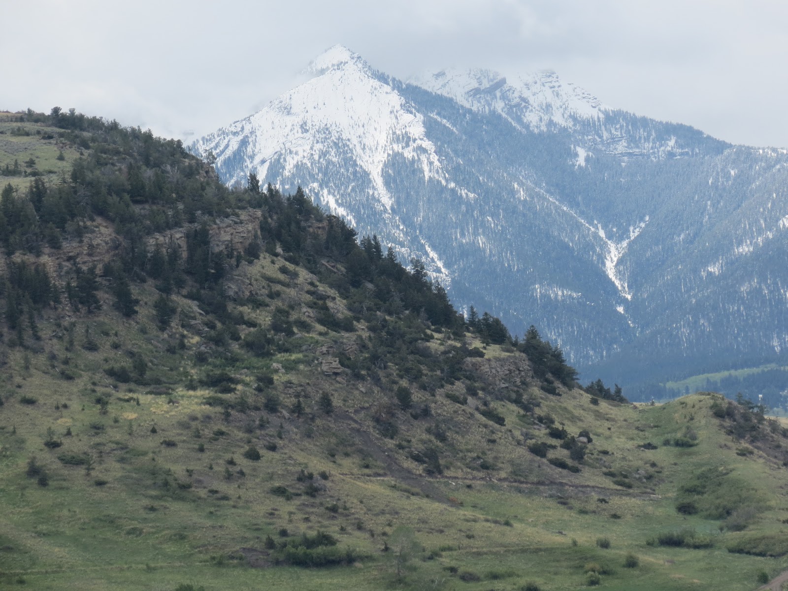 Where's Liz-2012?: Big Timber, Montana