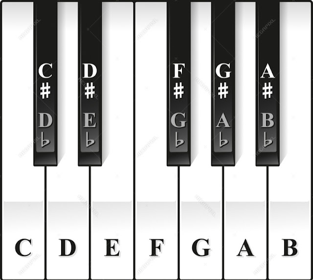 Basics for Piano (Notes, Chord)🎹🎹🎹🎹🎹🎹🎹