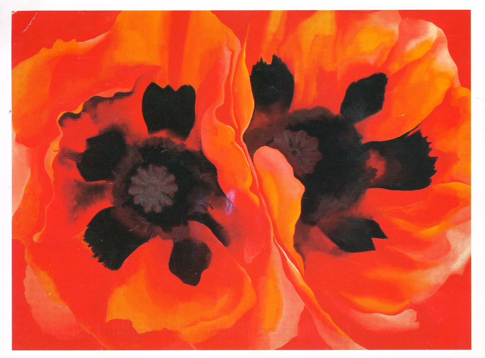 postcards for hiser: Georgia O'Keeffe - Oriental Poppies, 1928