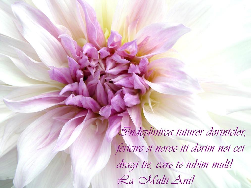 Mesaje pentru ziua de nastere sau aniversare | Preparatedevis.ro