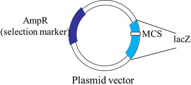 Blue-White Screening Mechanism - CSIR/ ICMR/ DBT (Life Sciences ...