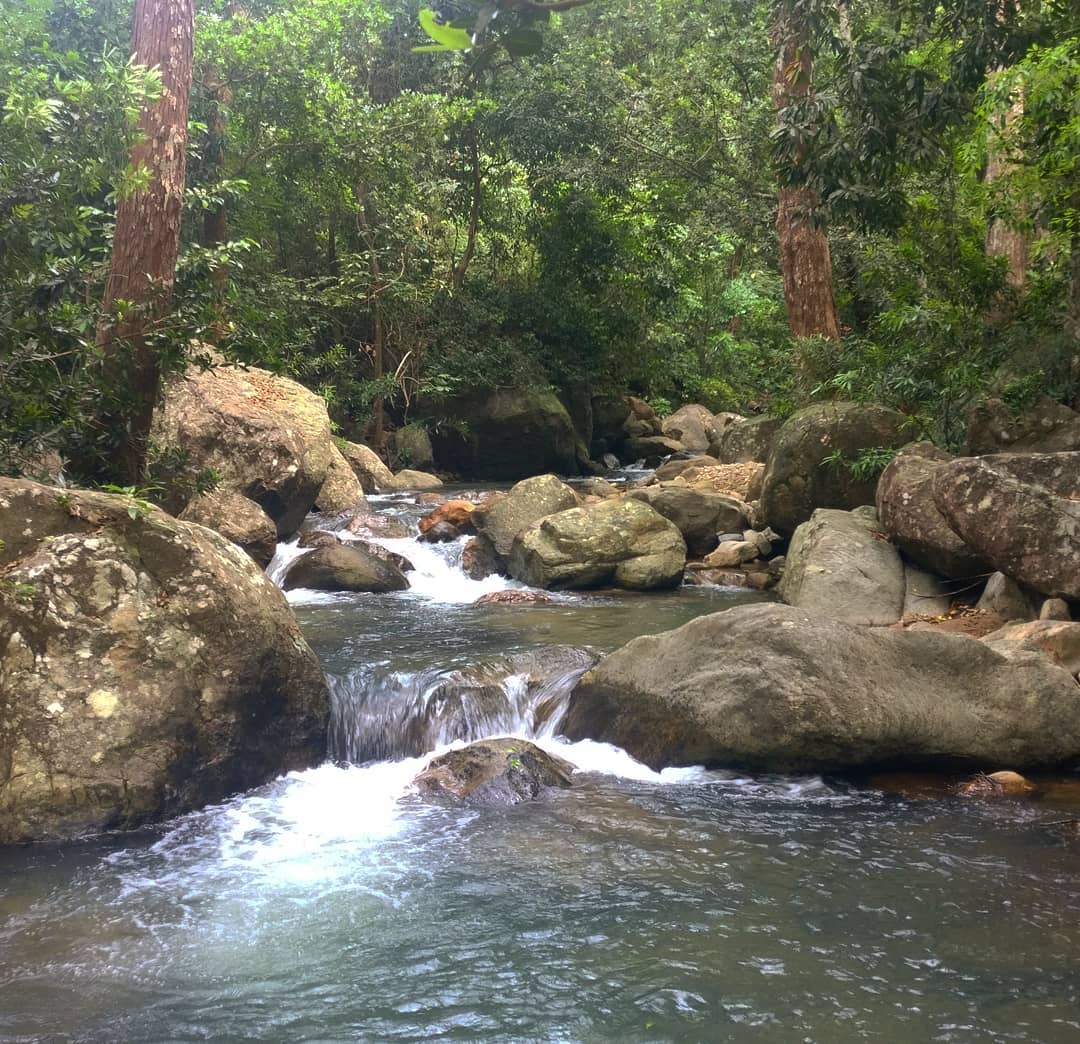 KANYAKUMARI TOURISM: Kodayar secret falls kanyakumari
