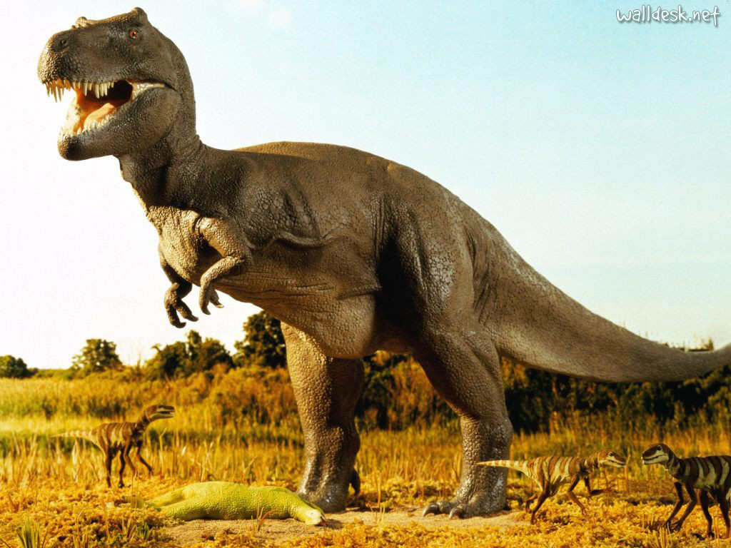 Blog Dinos: Melhores imagens sobre dinossauros!