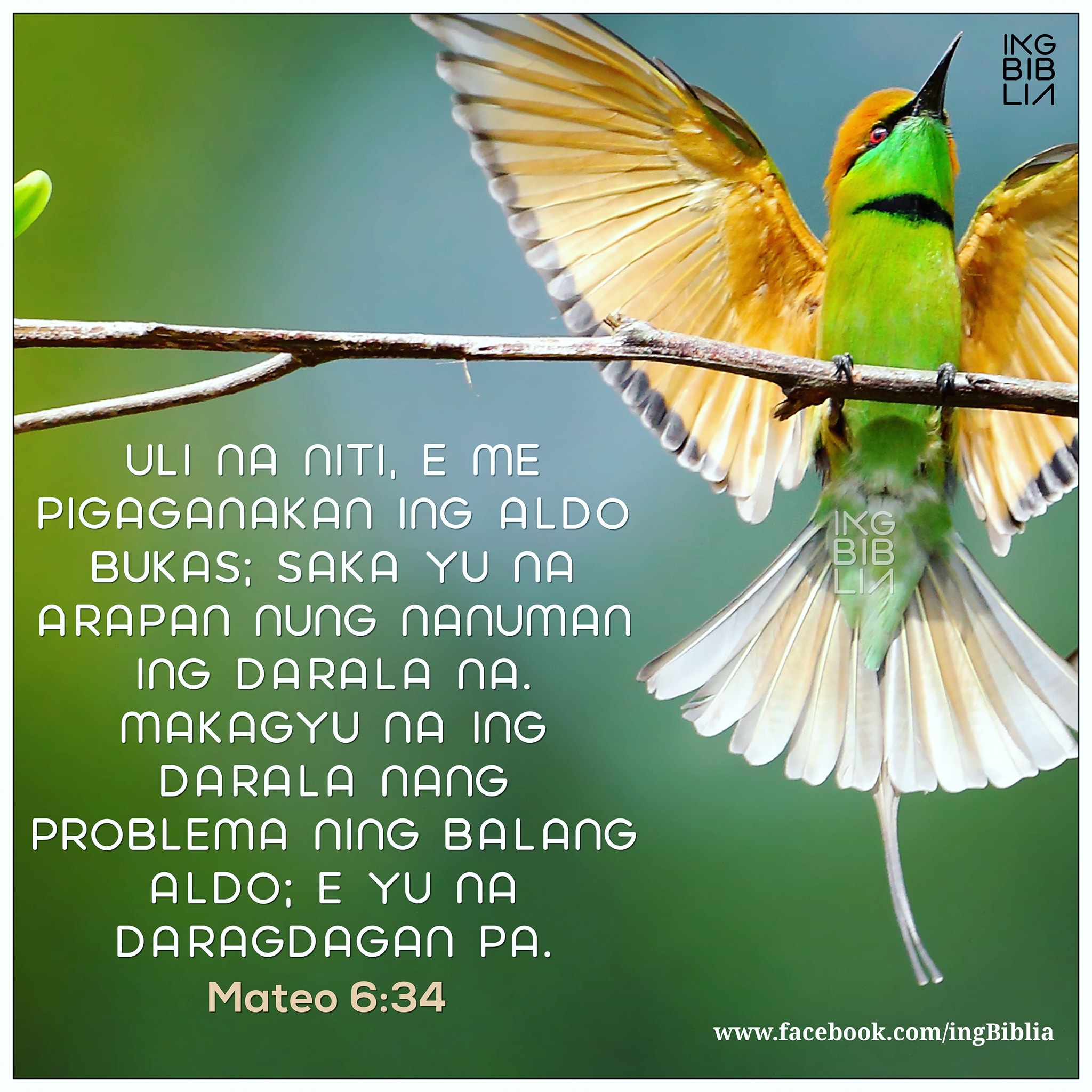 ing Biblia: Mateo 6:34