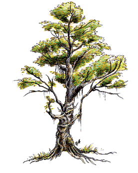 Dungeons & Delvers: Treants - Points of Light