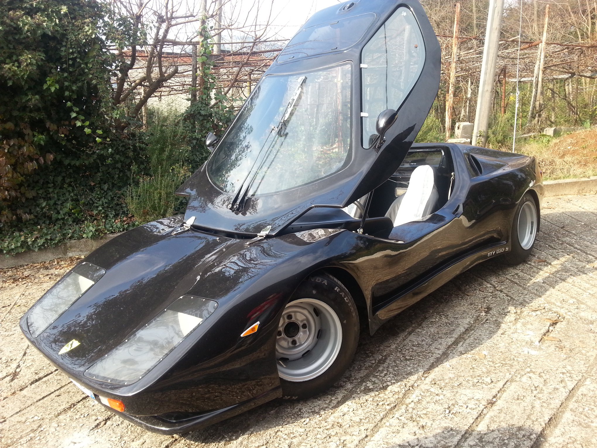 The Puma GTV, an Italian Nova