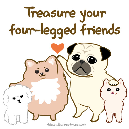 Ball Ball and friends: Treasure your four-legged friends
