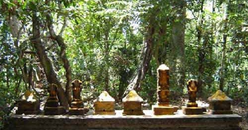 For Good Health - Protect Environment And Ecosystem - Hinduism ...