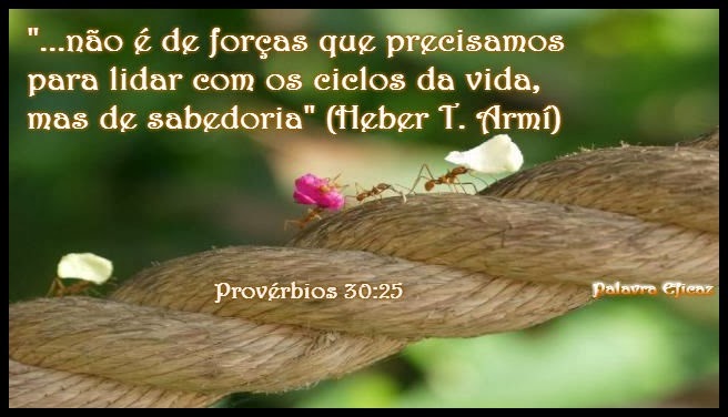 Bíblia Na Mente.: Provérbios 30:25 - As formigas,...