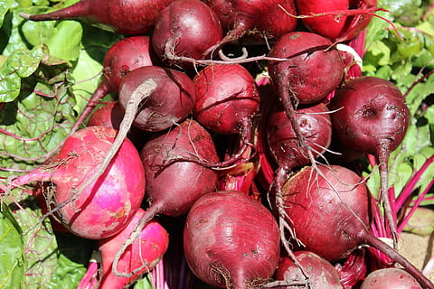 Health benefits of eating beetroot - Health Benefits of Eating ...