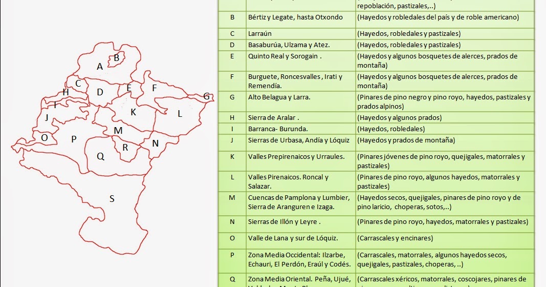 Guía de Setas y Hongos de Navarra.: Paseos Micológicos
