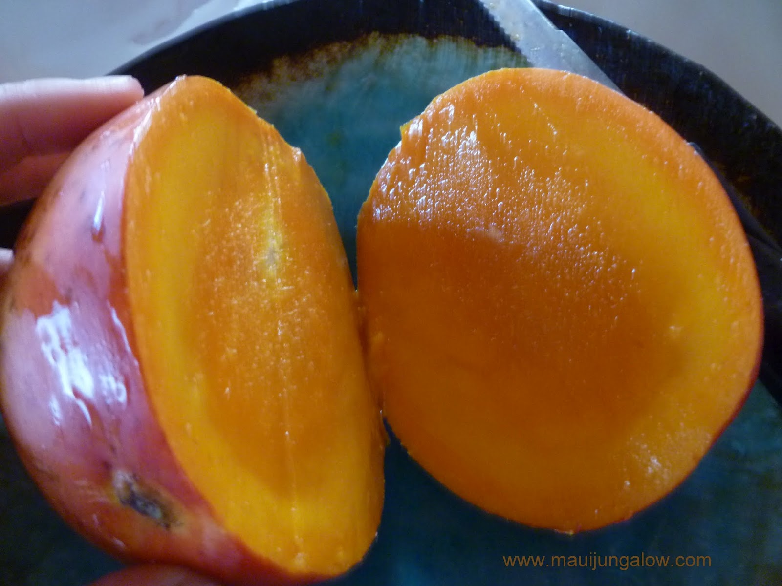 Maui Jungalow: Cutting a Mango