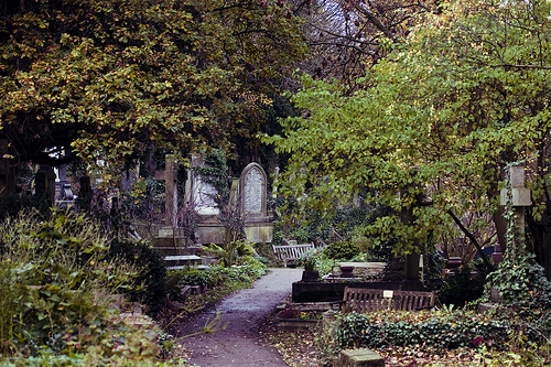 5 Travel Destinations to Meet Vampires! | TravelOc