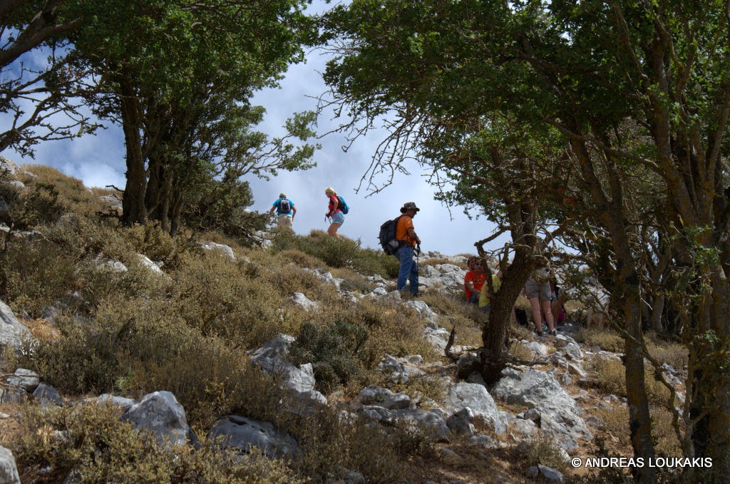 EXPLORE MOUNTAINS: ΠΕΖΟΠΟΡΙΑ ΨΥΧΡΟ-ΜΑΓΟΥΛΑΣ-ΔΙΚΤΑΙΟ ΑΝΤΡΟ