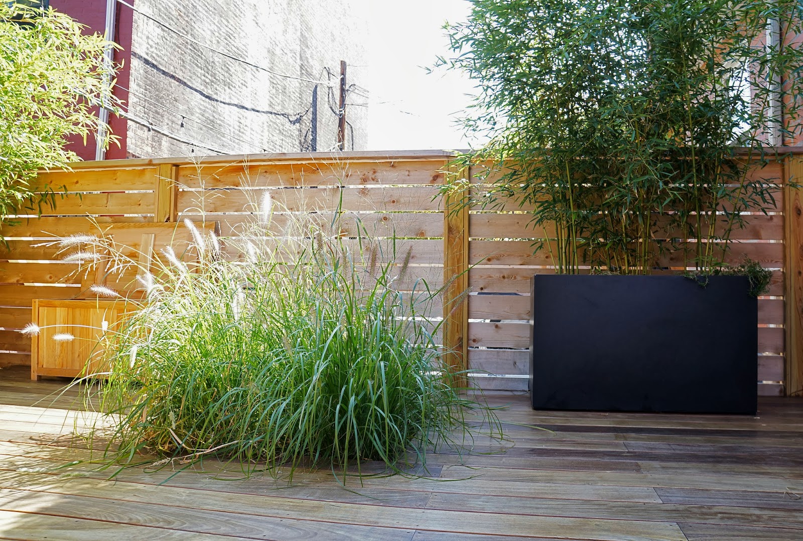 GreenZone Landscape Design: Brooklyn Backyard Becomes a Modern Outdoor ...