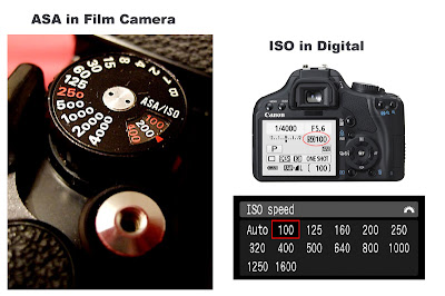 School Of Digital Photography: What is ISO in Photography?