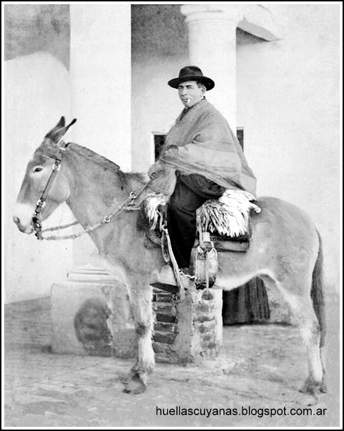 LA MULA | Huellas Cuyanas