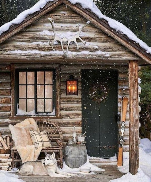 28 The Best Rustic Tiny House Ideas