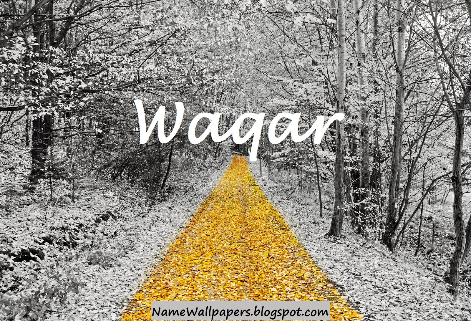 Waqar Name Wallpapers Waqar ~ Name Wallpaper Urdu Name Meaning Name ...