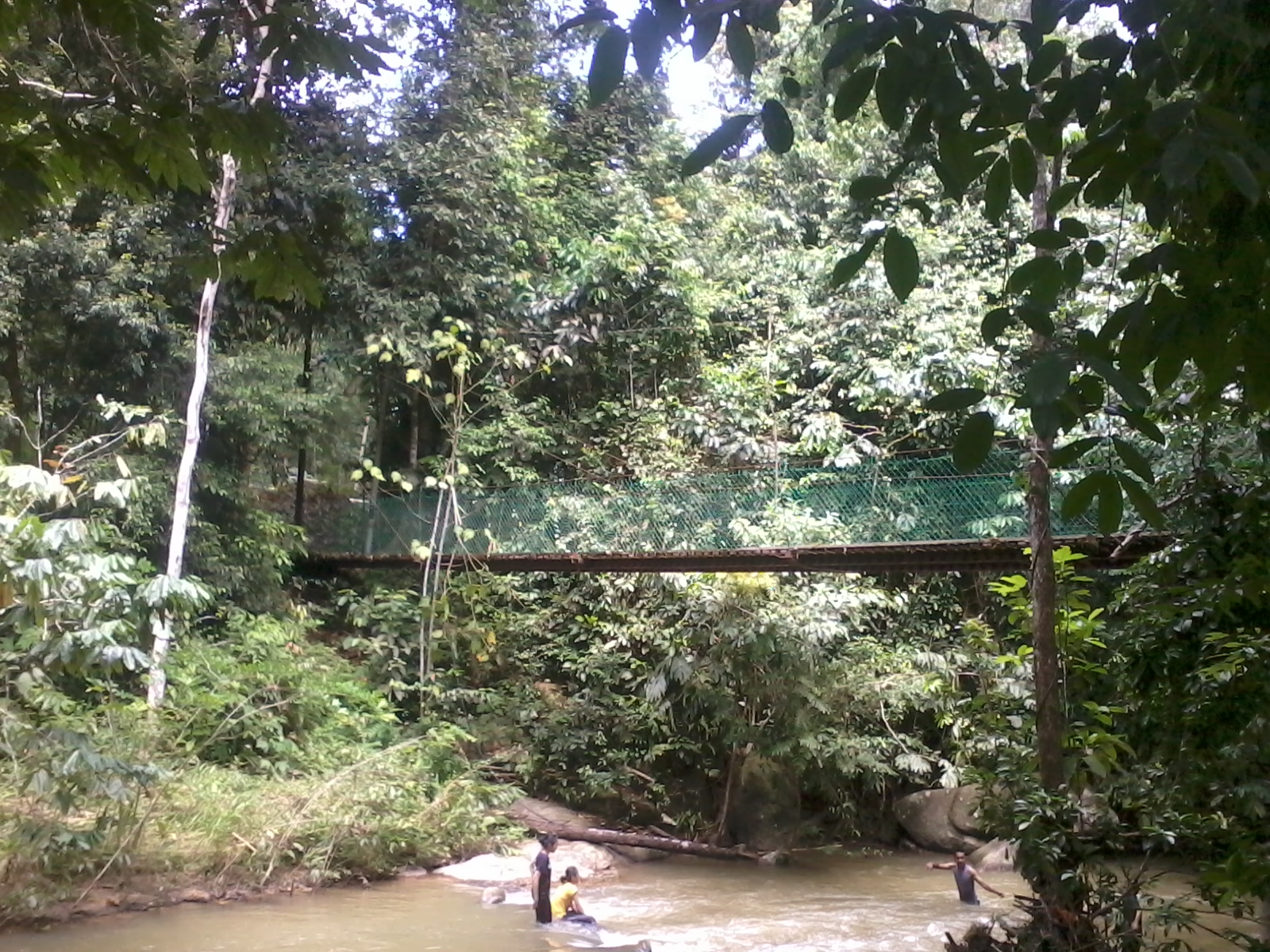 Sym Jet14 200 dan Abaidi: Ride mengejar Hutan Lipur