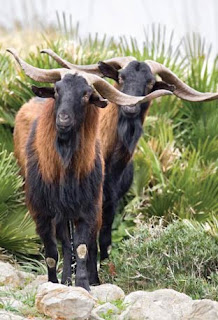 Old European culture: April 2019