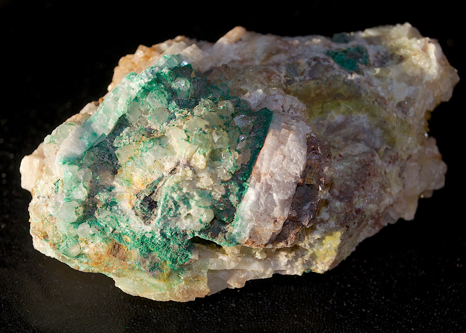 The Kruse Chronicles Continue in Cocoa, Florida: Bingham NM - Blanchard ...