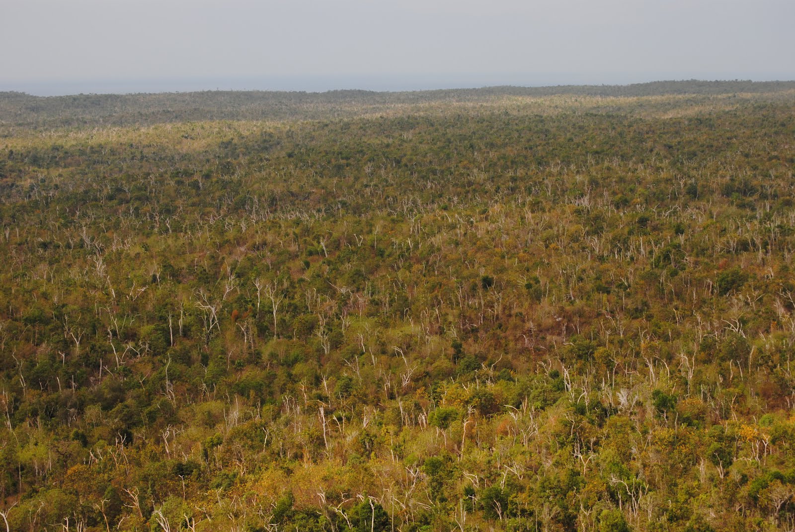 goodbye, kneidel: The Life and Times of Portland Ridge