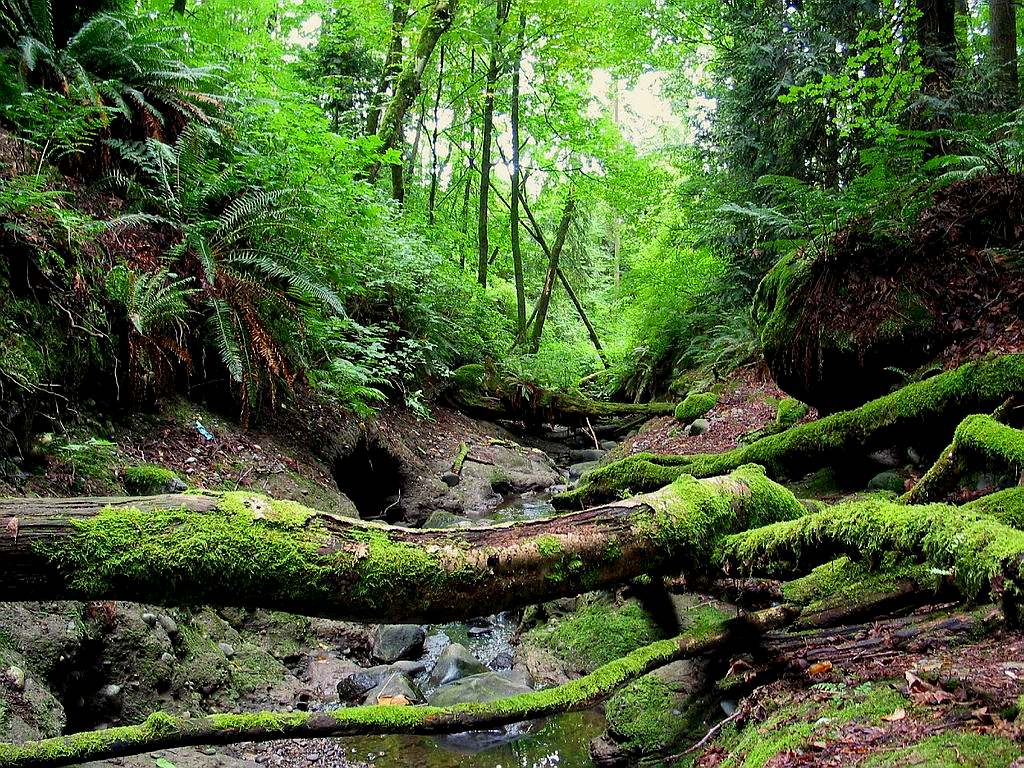 KEINDAHAN ALAM | This WordPress.com site is the cat’s pajamas