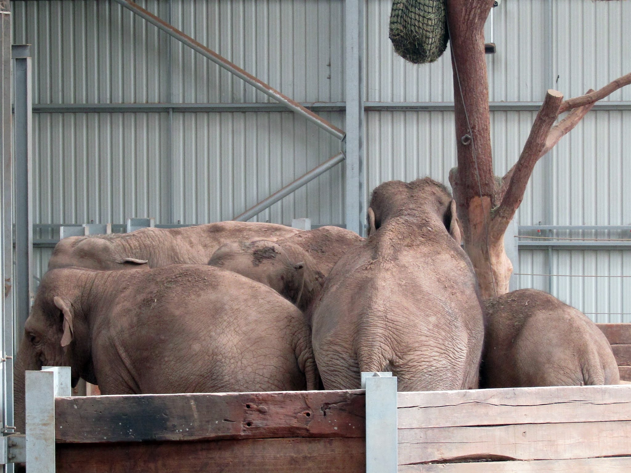Polka Spots and Freckle Dots
